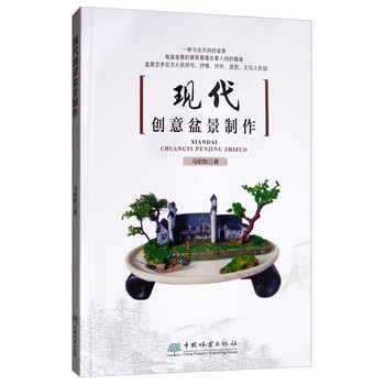 现代创意盆景制作