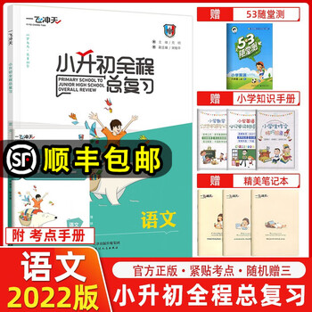 2022一飞冲天小升初全程总复习语文 专项突破真卷演练考点预测冲刺满分知识清单考点训练六年级一飞冲天