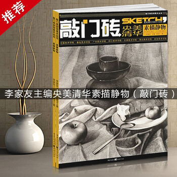 【】敲门砖：素描静物（央美清华）组合经典素描书李家友王建才自学入门到精通基础教程教材