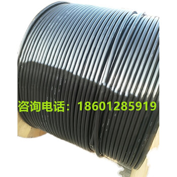 WDZN-KYJY耐火低烟无卤控制电缆WDZN-KVV信号线电源线2 3 4 5 6芯 12芯 1.5平方毫米【图片 价格 品牌 报价】-京东