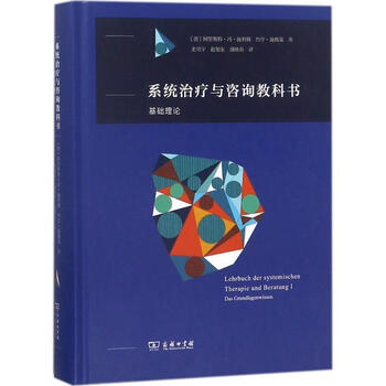 系统治疗与咨询教科书 (德)阿里斯特·冯·施利佩,(德)约亨·施魏策 著;史靖宇,赵旭东,盛晓春 译