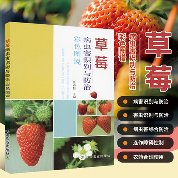 草莓病虫害识别与防治彩色图说 张志恒 大棚草莓种植技术书籍 病虫害及其防治书籍 病害识别与防治 草莓