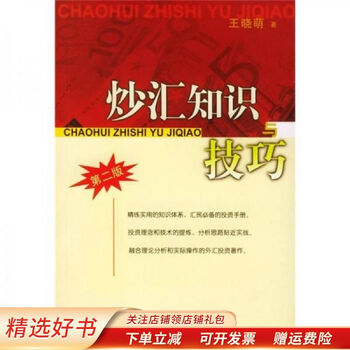 炒汇知识与技巧第2版 王晓萌