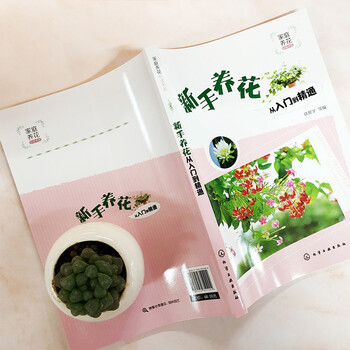 新手养花从入门到精通/家庭养花书系