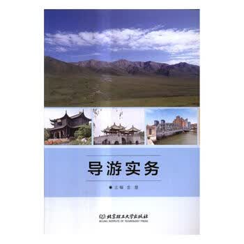 导游实务 金慧 编