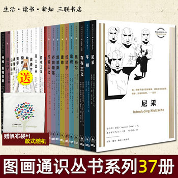 现货速发 图画通识丛书套装37册 福柯+萨德+心理学+美学+启蒙运动+资本主义+柏拉图+浪漫主义+本雅明+逻辑学+海德格尔+语言学 正版书籍正版