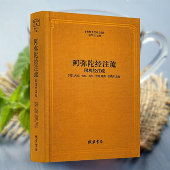 阿弥陀经注疏 附观经注疏 佛教十三经注疏 弥陀略解圆中钞 阿弥陀经疏钞 佛说观无量寿佛经疏妙宗钞 阿弥陀经 佛说观无量寿佛经疏