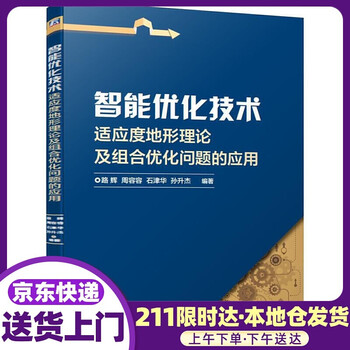 智能优化技术:适应度地形理论及组合优化问题的应用  机械工业出版社