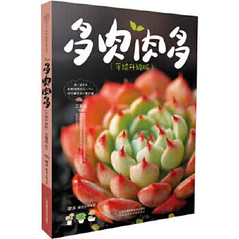 多肉肉多-(手绘升级版) 王意成
