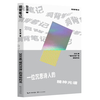 洞背笔记:300条现代汉诗的深知灼见