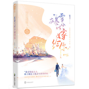 在暴雪时分嫁给你
