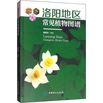 洛阳地区常见植物图谱