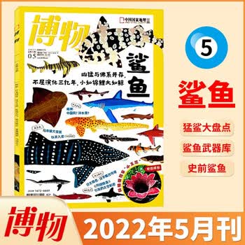 包邮博物杂志2021-2022年订阅\/打包可选  中国家地理青少年版 大百科普学图书 22年5期 鲨鱼