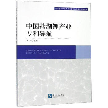 中国盐湖锂产业专利导航