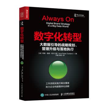 数字化转型 大数据引导的战略规划 管理升级与落地执行（人邮普华出品）