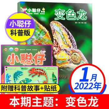 【新期到】小聪仔科普版2022年6月 蘑菇是植物吗【单本多期可选】幼儿益智兴趣智力开发低年级儿童科普百科自然探索奥秘非2021过期刊 【单本】科普版2022年1月