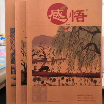 感悟杂志21年-20年共16本青春校园励志文学期刊开启智慧真善美 2021年1-8期间6本