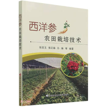西洋参农田栽培技术