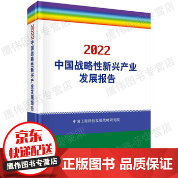 2022中国战略性新兴产业发展报告
