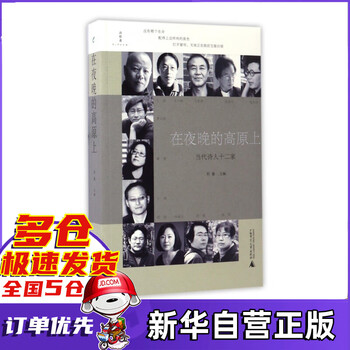 在夜晚的高原上(当代诗人十二家)