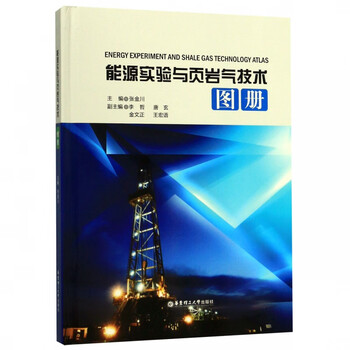 能源实验与页岩气技术图册(精)