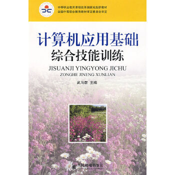 计算机应用基础综合技能训练 武马群 9787115199010 人民邮电出版社