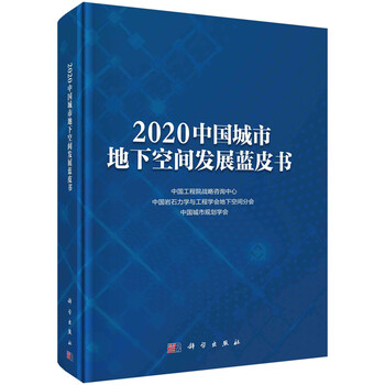 2020中国城市地下空间发展蓝皮书/中国工程院战略咨询中心