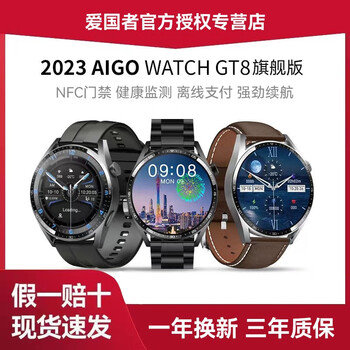 爱国者（aigo）GT8顶配智能手表成人多功能蓝牙通话NFC门禁心率血氧血压健康运动手表男 GT8旗舰款锖色 棕色表带【送3表带+磁吸充电器】【图片 价格 品牌 报价】-京东