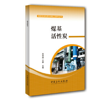 煤基活性炭【正版图书 放心购买】