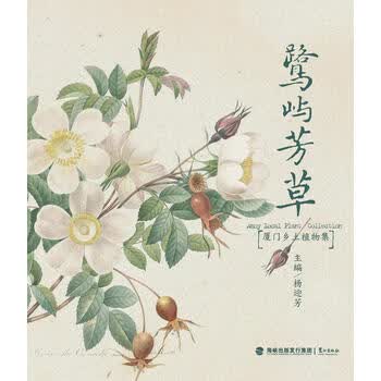 鹭屿芳草 杨迎芳【正版书】
