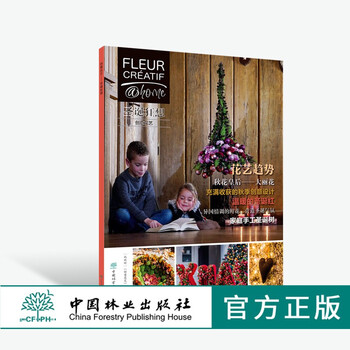 创意花艺 圣诞狂想  Fleur Creatif中文版