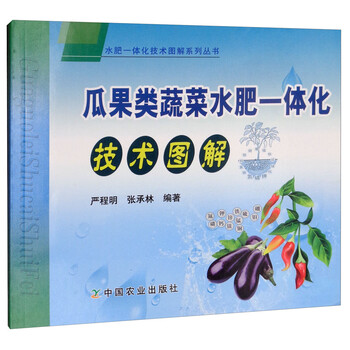瓜果类蔬菜水肥一体化技术图解