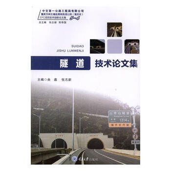 隧道技术论文集/建筑/书籍