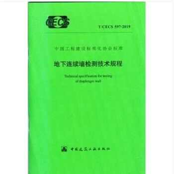 T/CECS 597-2019 地下连续墙检测技术规程