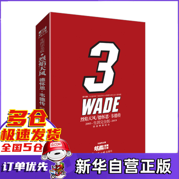烈焰天风：德怀恩？韦德传
