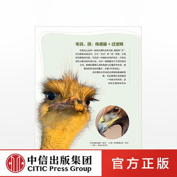 鸟类生活不简单(博物少年百科·了不起的科学）（国家地理少儿系列）