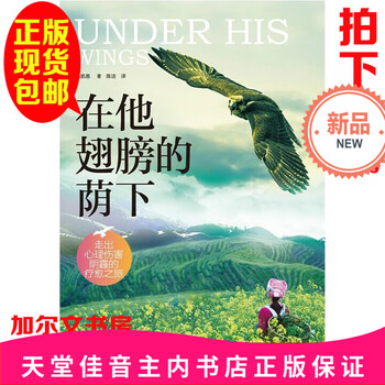 正版在他翅膀的荫下：走出心理伤害阴霾的疗愈之旅