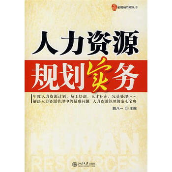 人力资源规划实务【正版图书，放心下单】