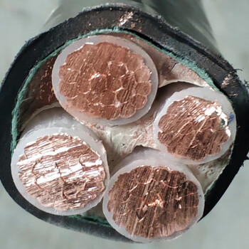 国标铜芯ZR-YJV3 4 5芯+1 50 70 95 120平方阻燃电力电缆线铠装 国标ZR-YJV 3*50+1*25【图片 价格 品牌 报价】-京东