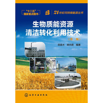 生物质能资源清洁转化利用技术(第二版)田宜水、姚向君 编著 21世纪可持续能源丛书