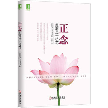 抖音推荐情绪书籍 正念此刻是一枝花心灵修养/心理健康疗愈力 抑郁症书籍 正念压疗法/行为/认知疗法 乔卡巴