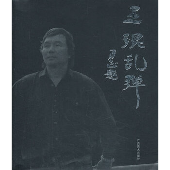 王琨乱弹(当代油画评论文集) 王琨 广西美术出版社【正版图书】
