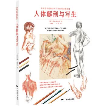 人体解剖与写生