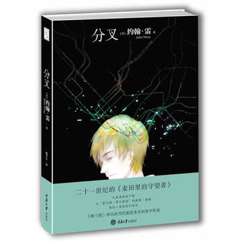 分叉（诞生于纽约地下铁的二十一世纪《麦田里的守望者》） 小说 书籍