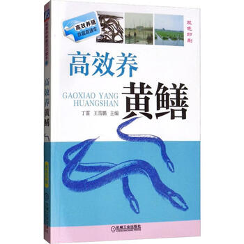 高效养黄鳝