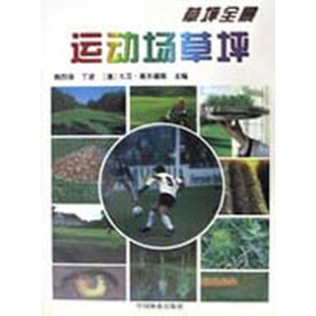 运动场坪