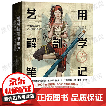 艺用解剖学笔记