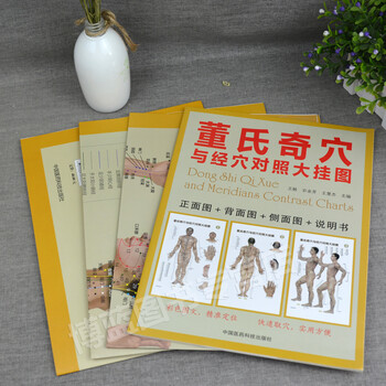 正版 董氏奇穴与经穴对照大挂图 经络穴位大挂图 中医养生书籍 针灸推拿按摩 中国医药科技出版社