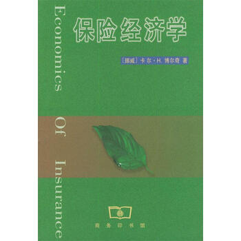保险经济学 （挪威）博尔奇 著【正版书】