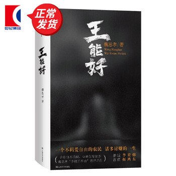 王能好 精装版 魏思孝“乡村三部曲”终结之作  上海文艺出版社